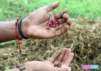 Municipio de Nindirí - Mapa Nacional de Turismo