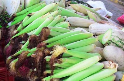 Municipio de Tisma - Mapa Nacional de Turismo