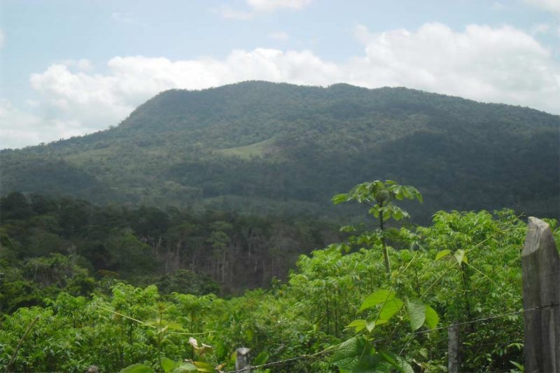 Bosawás Biosphere Reserve - National Tourism Map