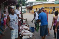 Municipio de Bluefields - Mapa Nacional de Turismo