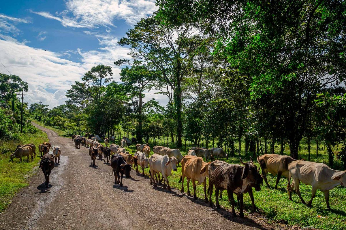 Municipio de El Rama - Mapa Nacional de Turismo