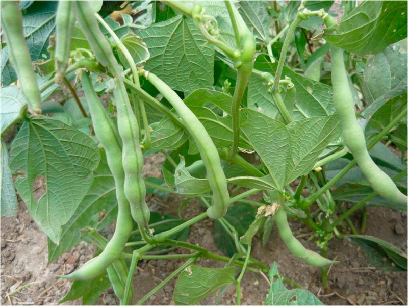 Municipio de Murra - Mapa Nacional de Turismo