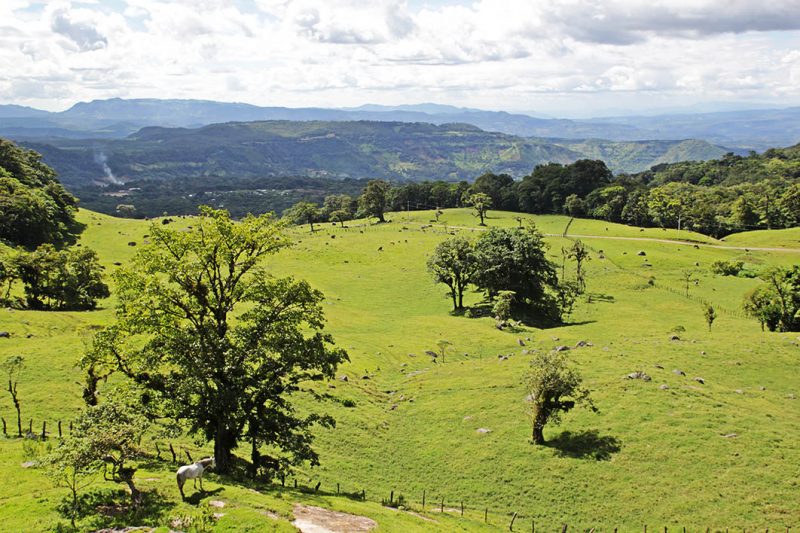 Municipio de Las Sabanas - Mapa Nacional de Turismo