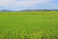 Municipio de Sébaco - Mapa Nacional de Turismo