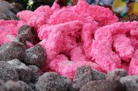 Municipio de Tisma - Mapa Nacional de Turismo