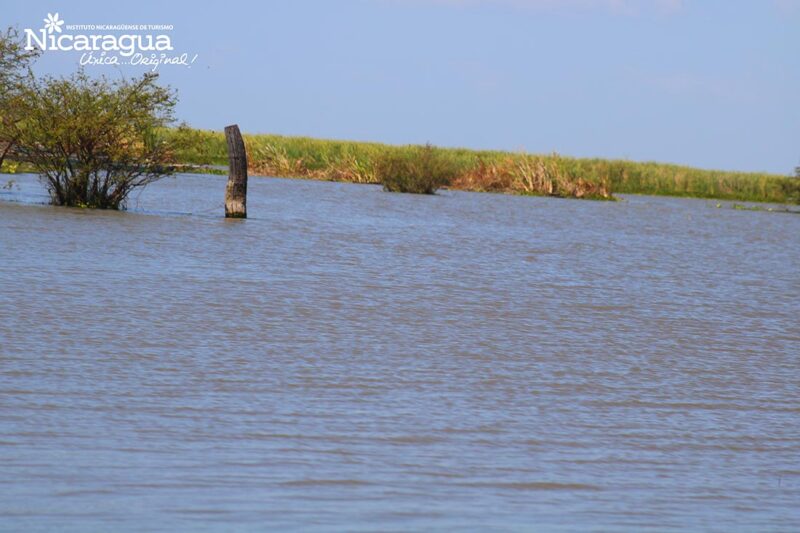 Naturaleza de Tisma - Mapa Nacional de Turismo