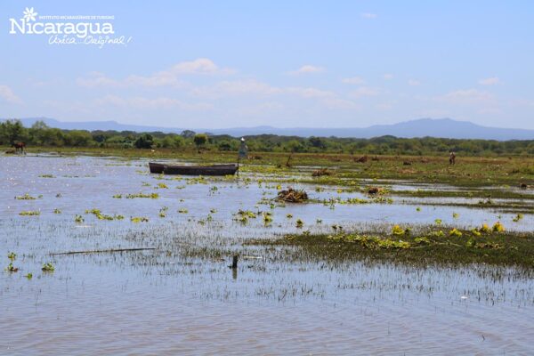 Naturaleza de Tisma - Mapa Nacional de Turismo