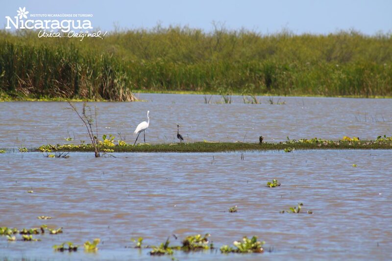 Municipio de Tisma - Mapa Nacional de Turismo