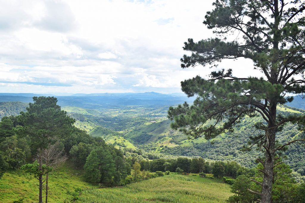 Nature of San Sebastián de Yalí - National Tourism Map