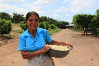 Cultura de Sébaco - Mapa Nacional de Turismo