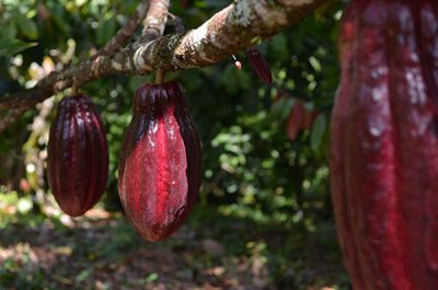 Cultura de Matiguás - Mapa Nacional de Turismo