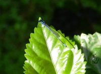 Cultura de Sébaco - Mapa Nacional de Turismo