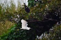 RUTAS DE NUESTRO GRAN LAGO COCIBOLCA - Mapa Nacional de Turismo