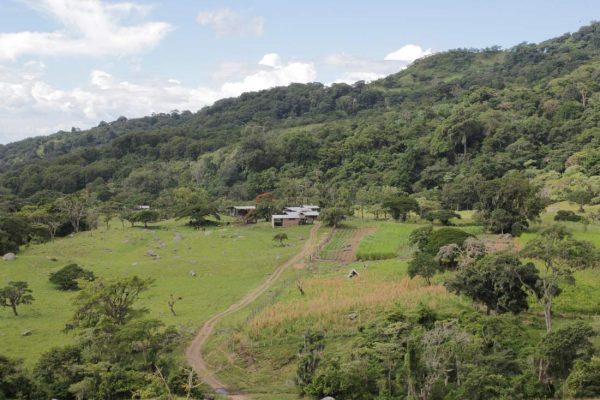 Nature of Las Sabanas - National Tourism Map