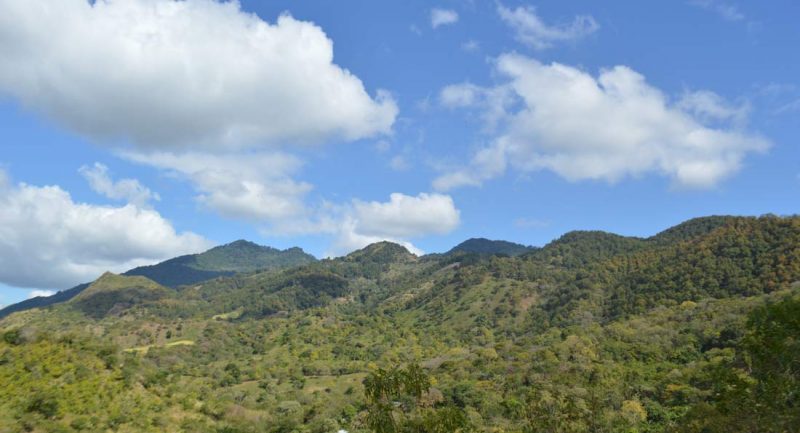 Nature of Las Sabanas - National Tourism Map