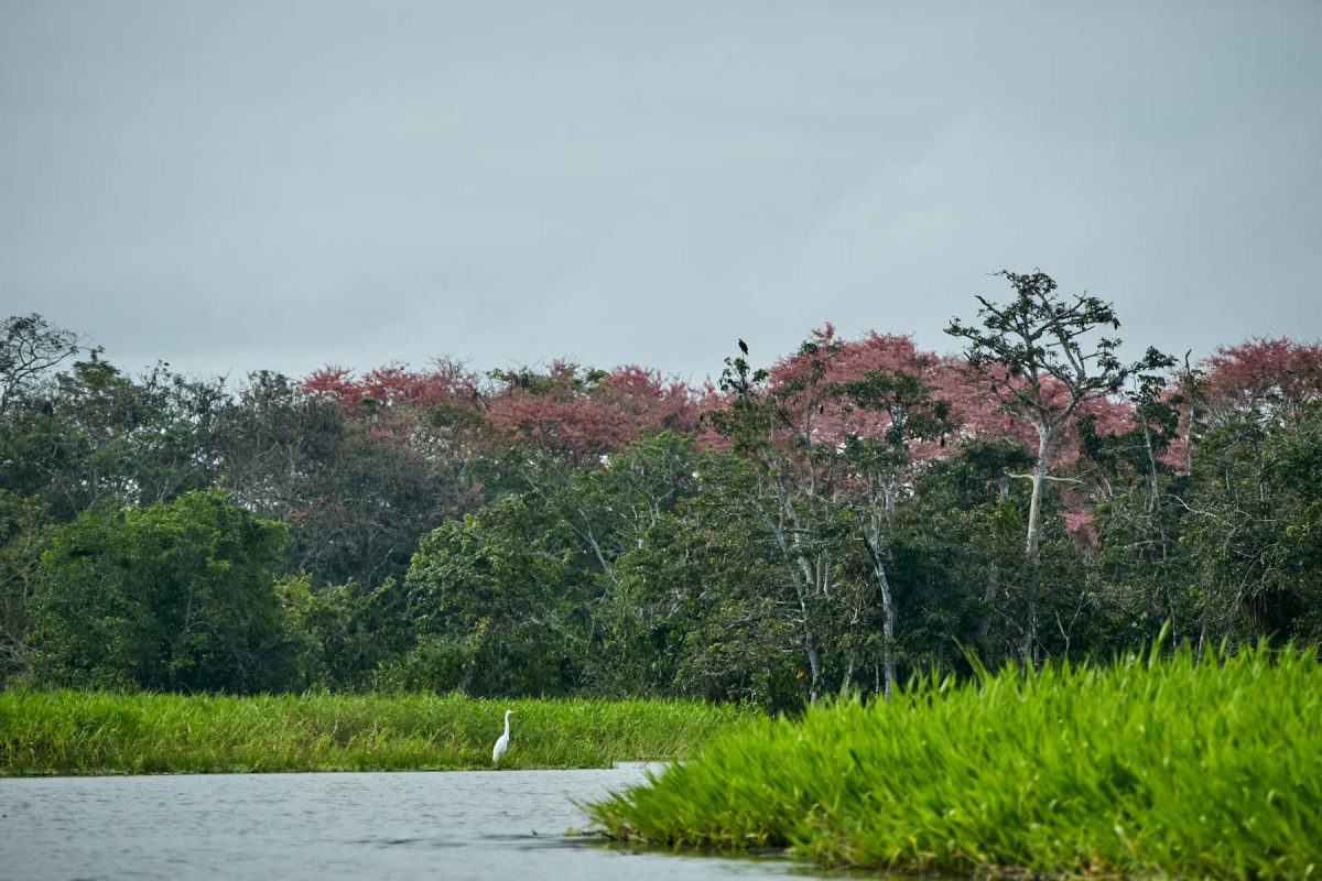 RUTAS DE NUESTRO GRAN LAGO COCIBOLCA - Mapa Nacional de Turismo