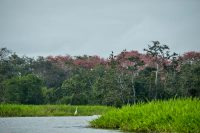 RUTAS DE NUESTRO GRAN LAGO COCIBOLCA - Mapa Nacional de Turismo