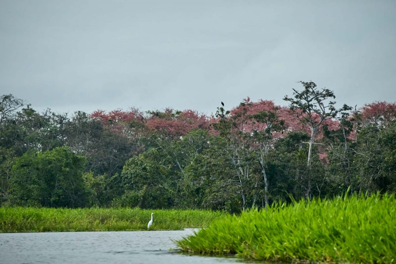 RUTAS DE NUESTRO GRAN LAGO COCIBOLCA - Mapa Nacional de Turismo
