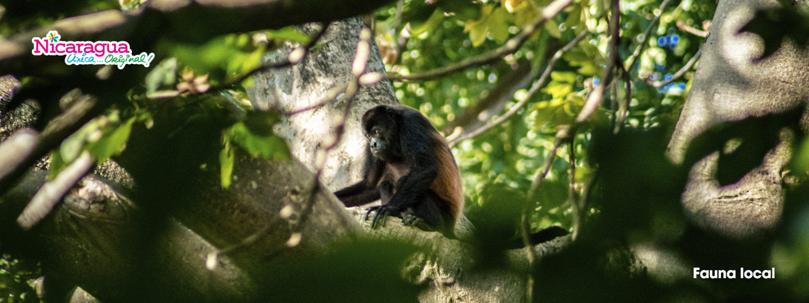 Municipio de Rivas - Mapa Nacional de Turismo / Rivas