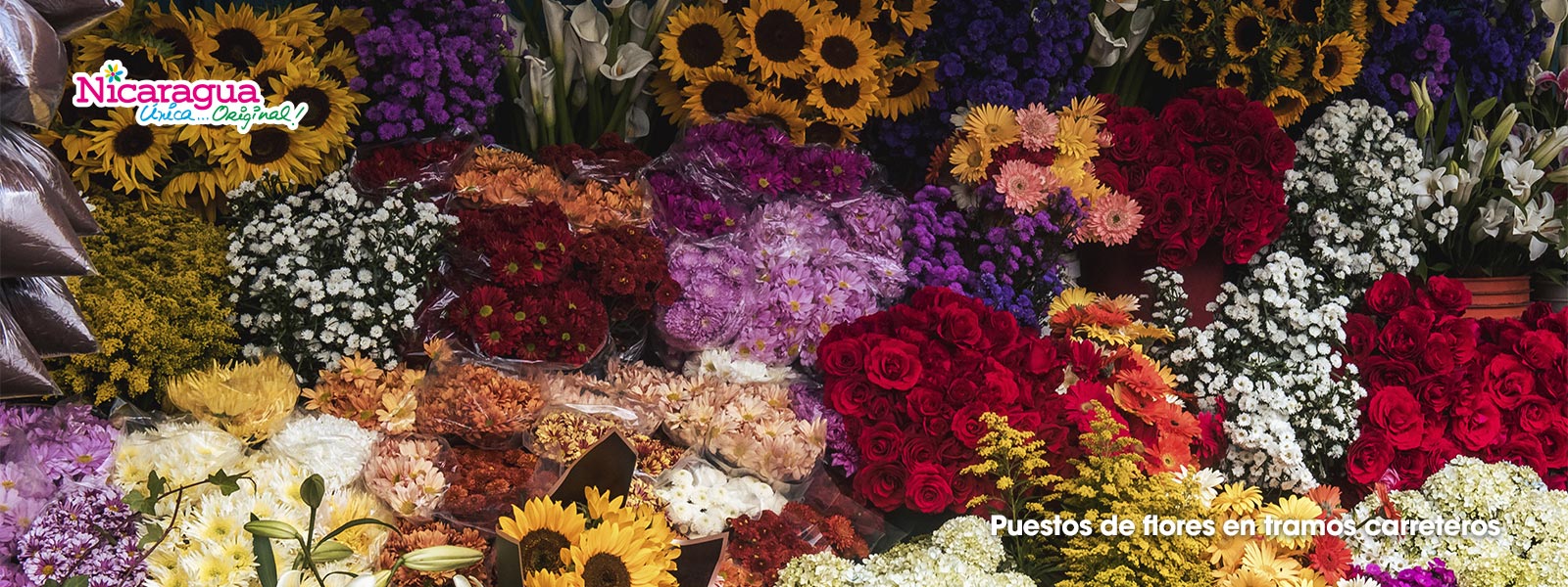 Municipio de San José De Bocay - Mapa Nacional de Turismo