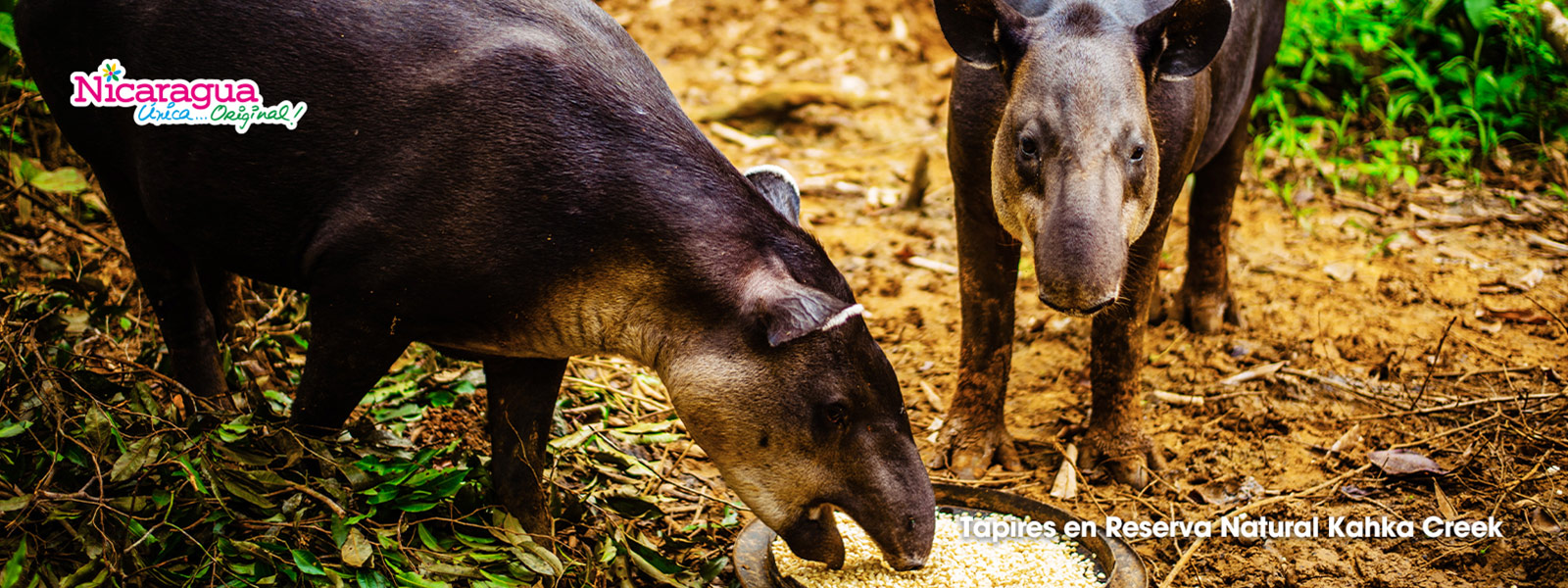 Municipio de Bluefields - Mapa Nacional de Turismo
