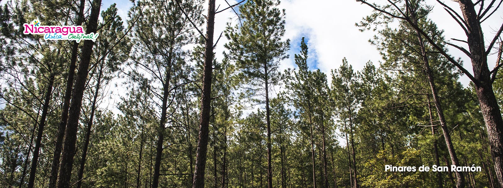 Cultura de Sébaco - Mapa Nacional de Turismo